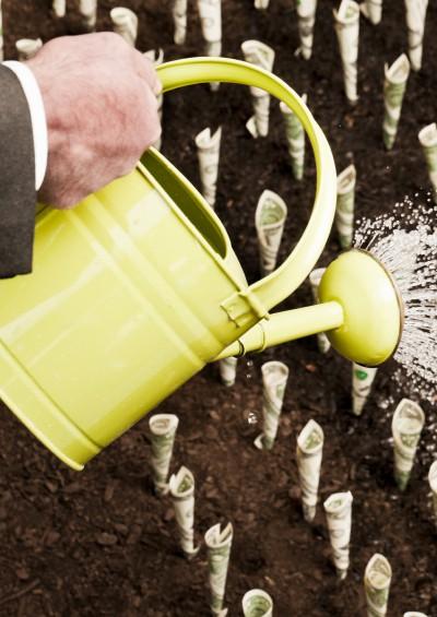 Georgia Primary Bank- Anniversary