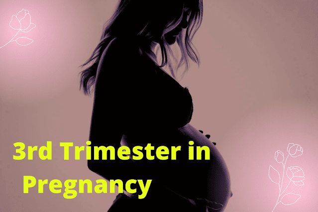 What Are The 3rd Trimester Symptoms? Pregnancy Changes Every Month ...